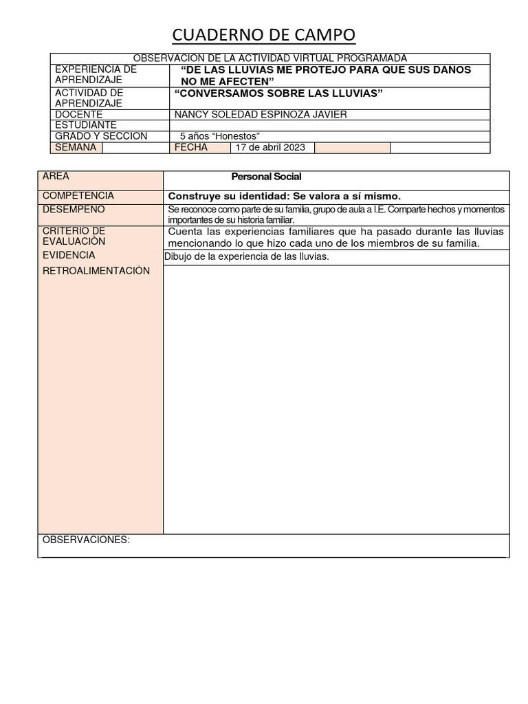 Formato Para Notas De Campo