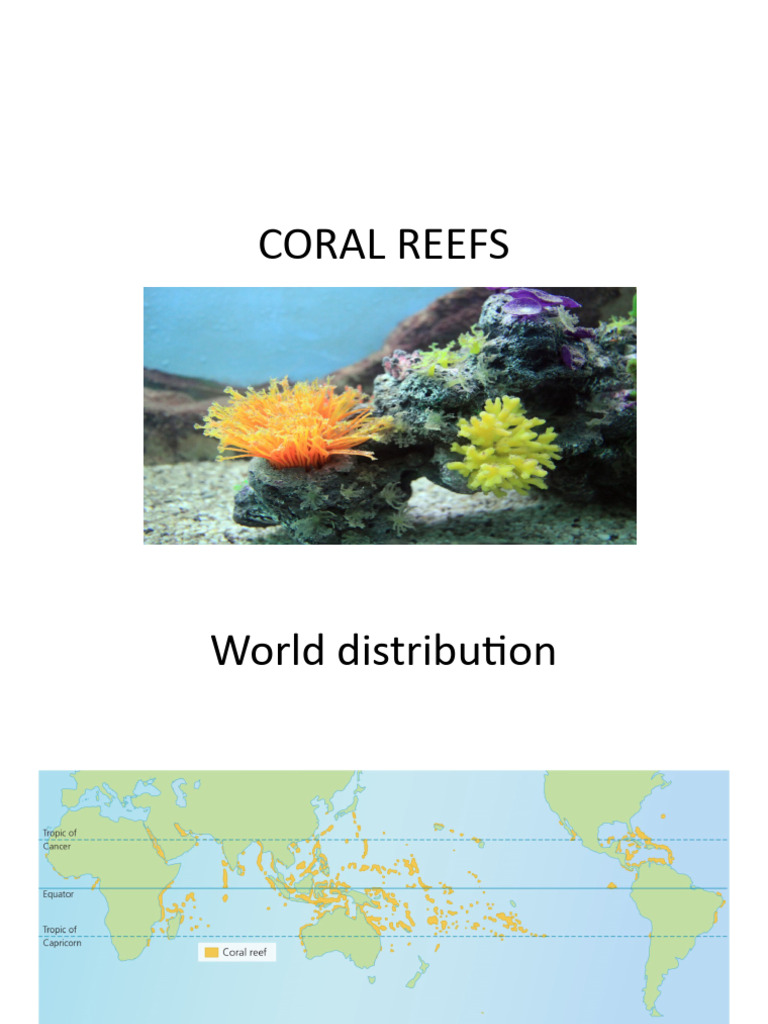 8.3 Coral Reefs 5.3 Coral Reefs | PDF | Coral Reef | Coral