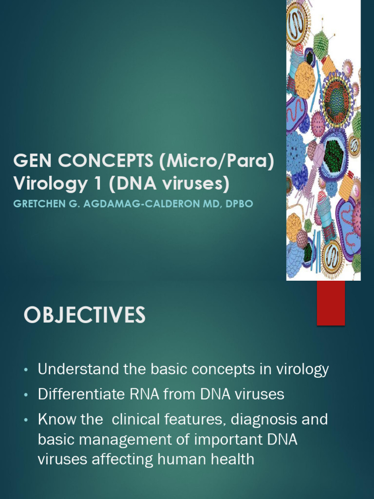 21 - Virology I (DNA) Lecture | PDF | Virus | Hepatitis B