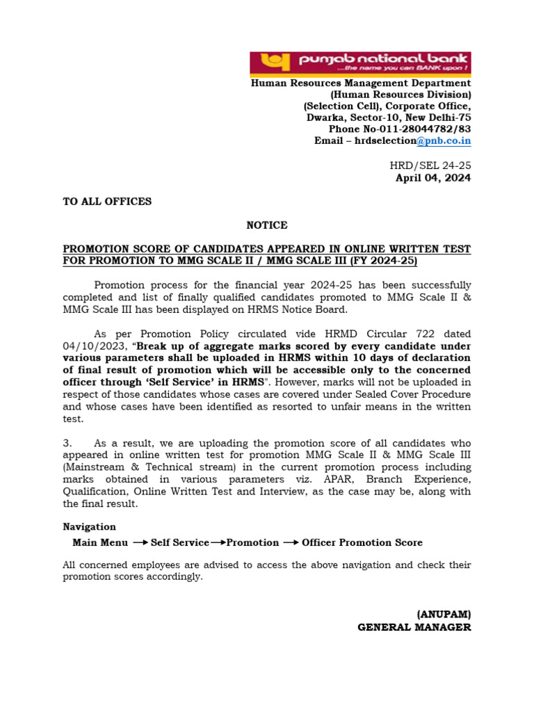 Promotion_Score_2024 | PDF