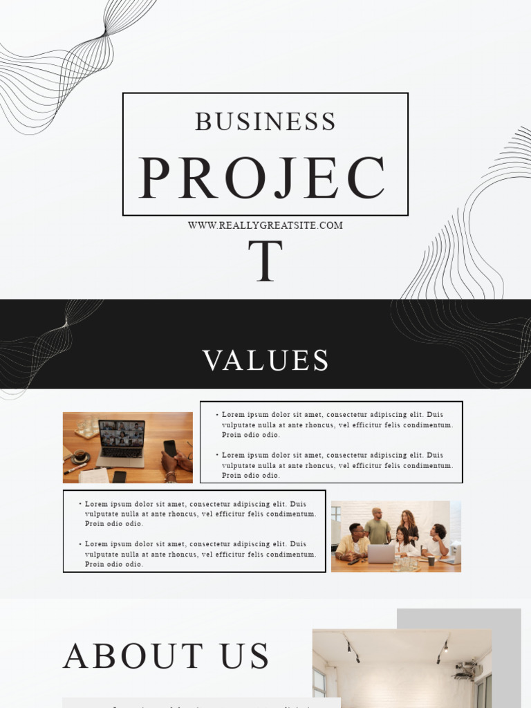 Project Business Overview | PDF