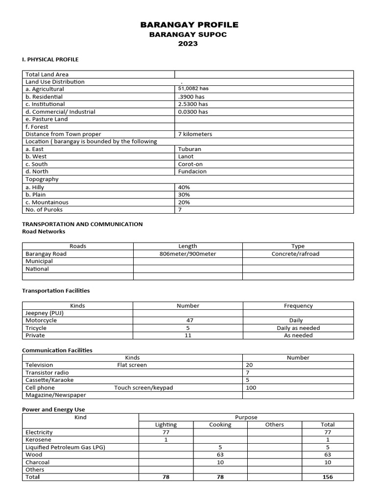 Barangay Profile | PDF | Family Planning | Birth Control
