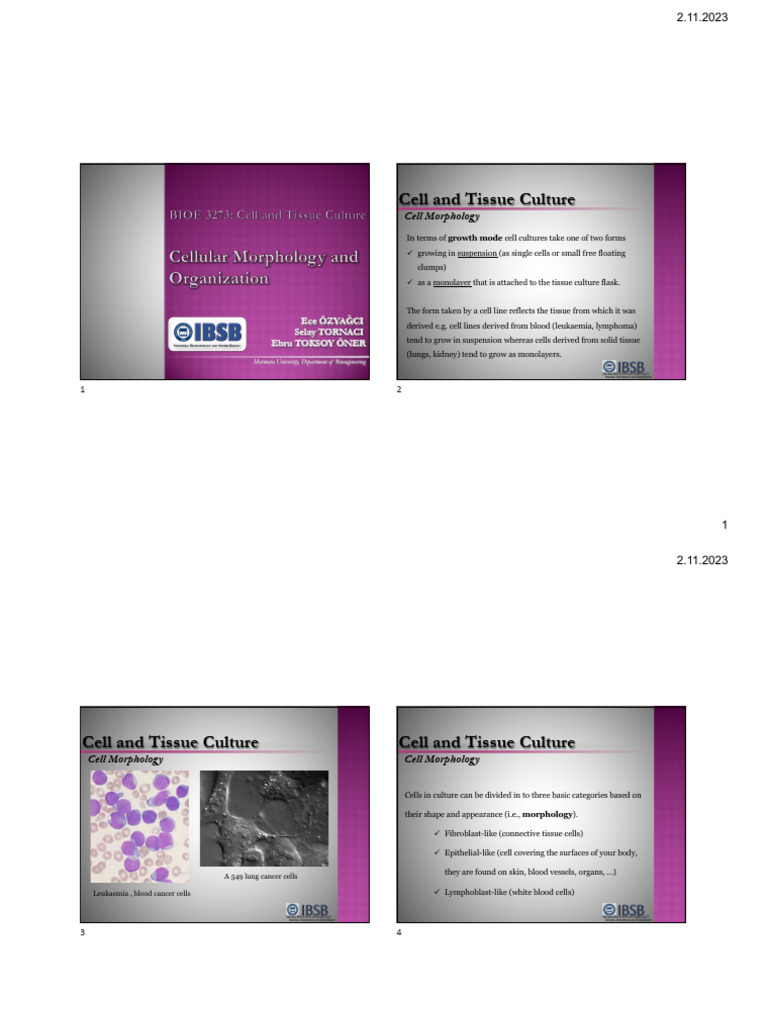 Cell Culture: Morphology Insights | PDF | Cell Culture | Dendrite