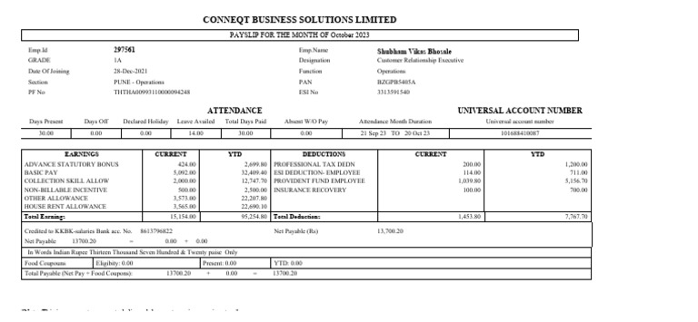 Salary Slip Conneqt Business Solution | Download Free PDF | Public Finance | Economies