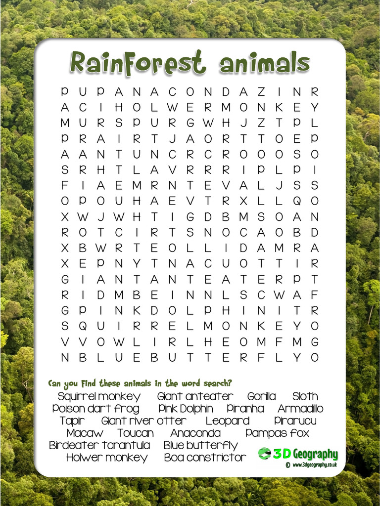 Rainforest Animals Word Search | PDF | Foreign Language Studies