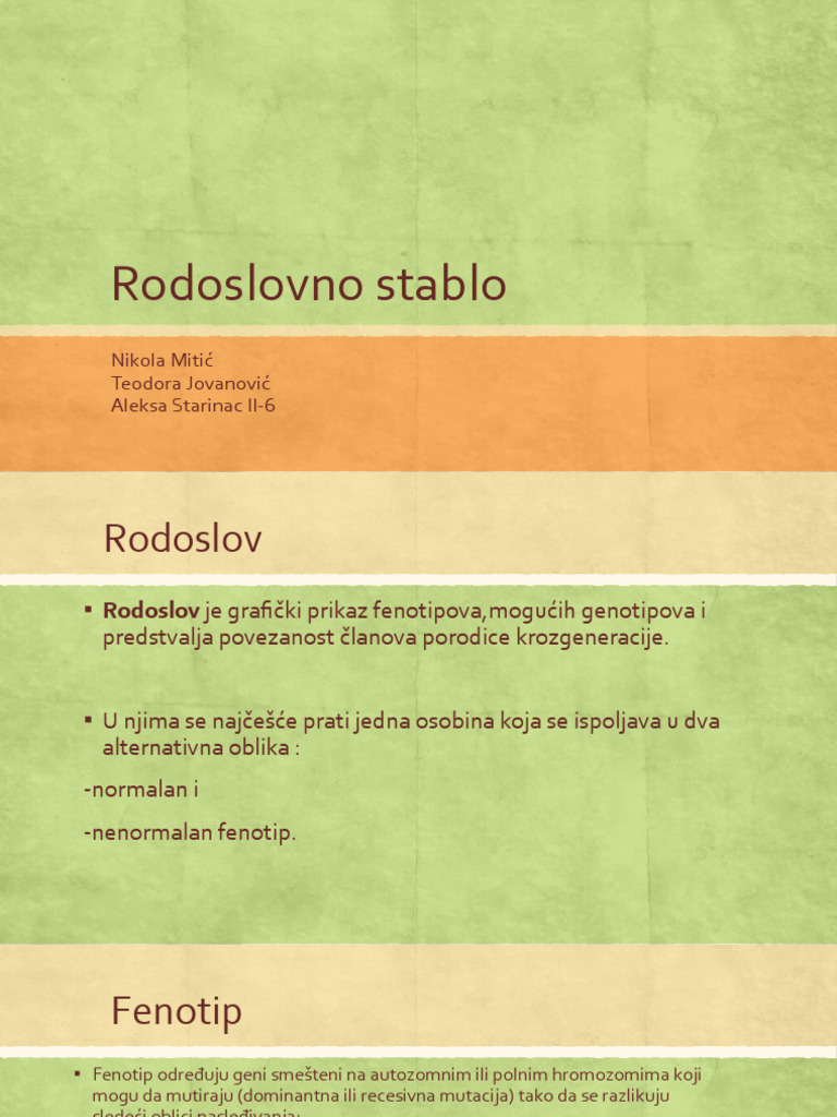 Rodoslovno Stablo Prezentacija | PDF