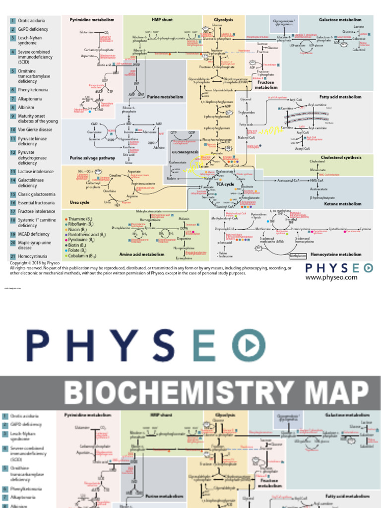 bio map | PDF | Molecular Biophysics | Natural Products