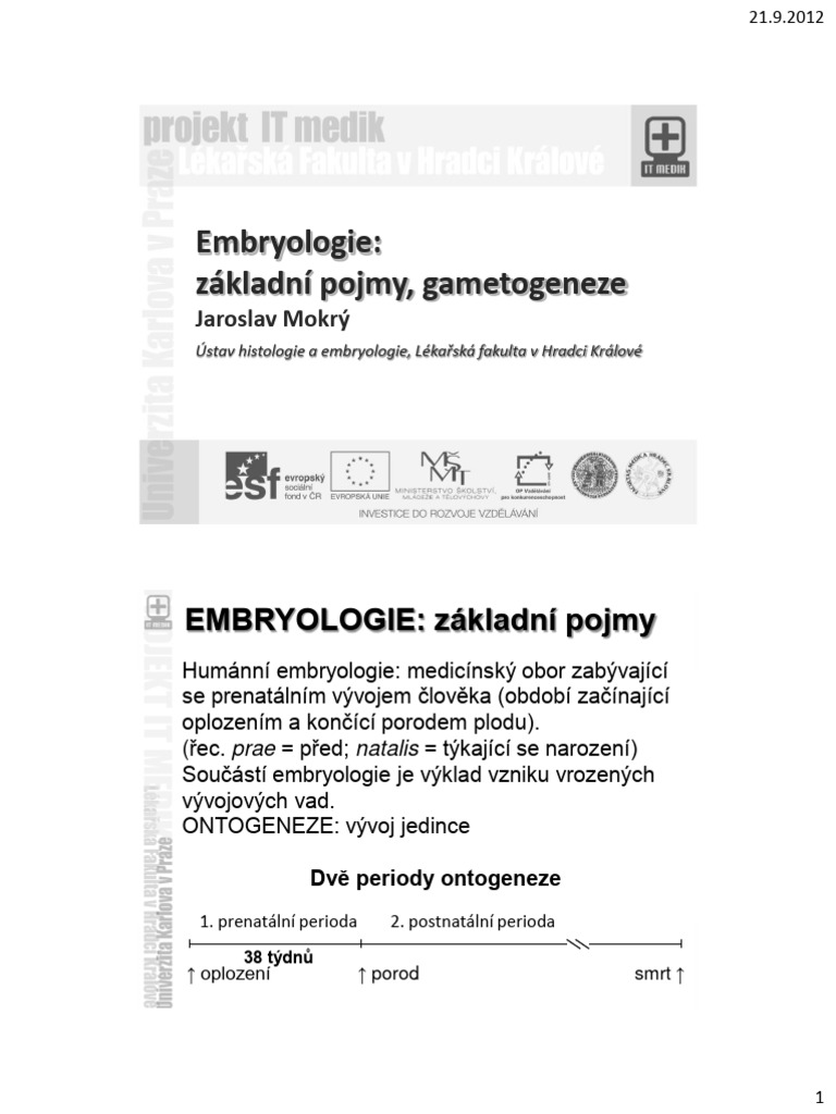EMBRYOLOGIE: Základní Pojmy | PDF