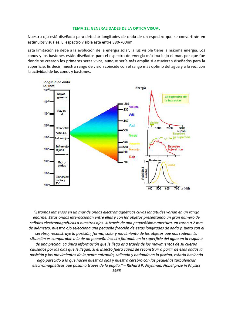 Tema 12. Generalidades de la optica visual | PDF | Ojo humano ...