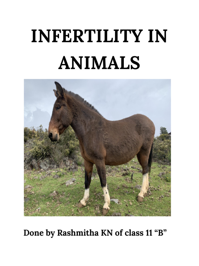 Infertility in Animals | PDF