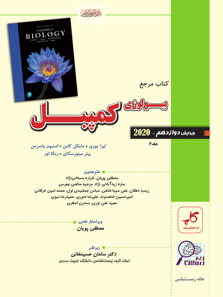 Campbell 6 | PDF