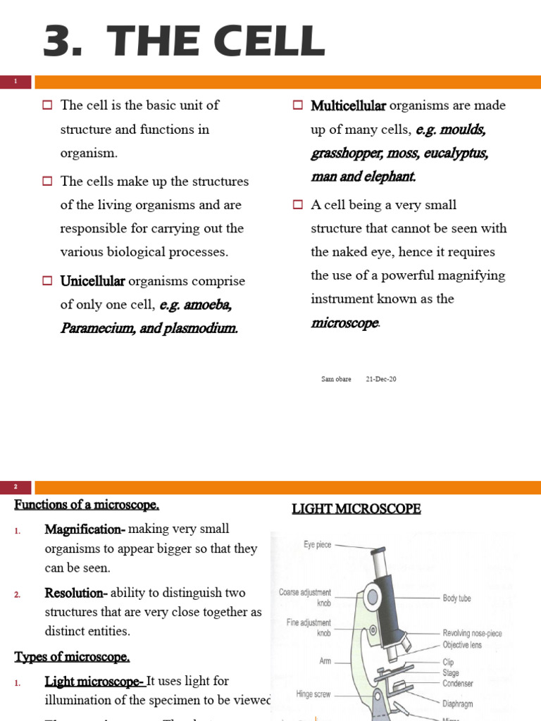 The Cell | PDF | Vacuole | Tissue (Biology)