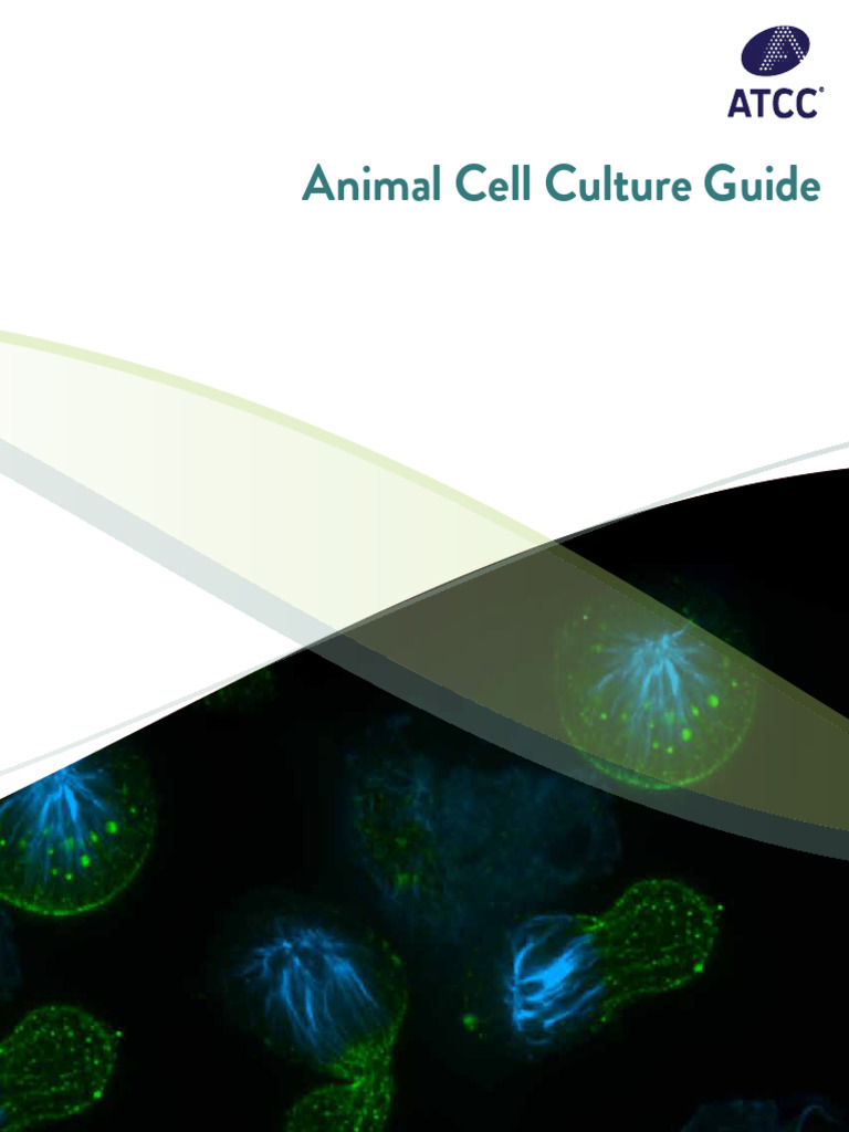 Animal Cell Culture Guide | PDF | Cell Culture | Growth Medium