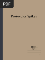 Protocolo SPIKES | PDF