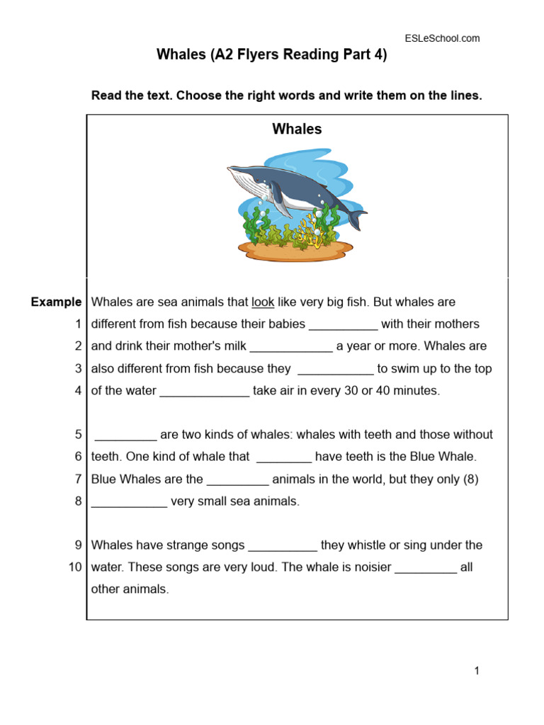 Whales A2 Flyers Reading Part 4 | PDF | Foreign Language Studies