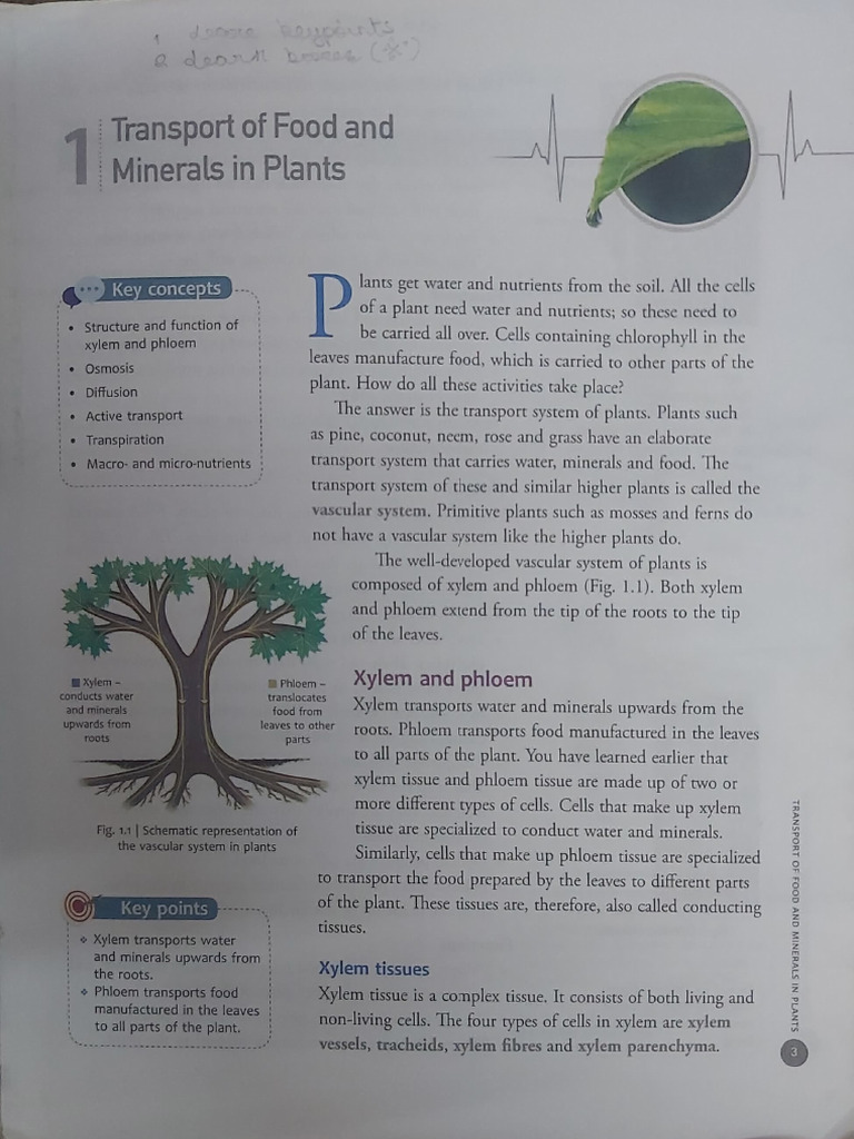 8 Bio L1 | PDF | Branches Of Botany | Organisms