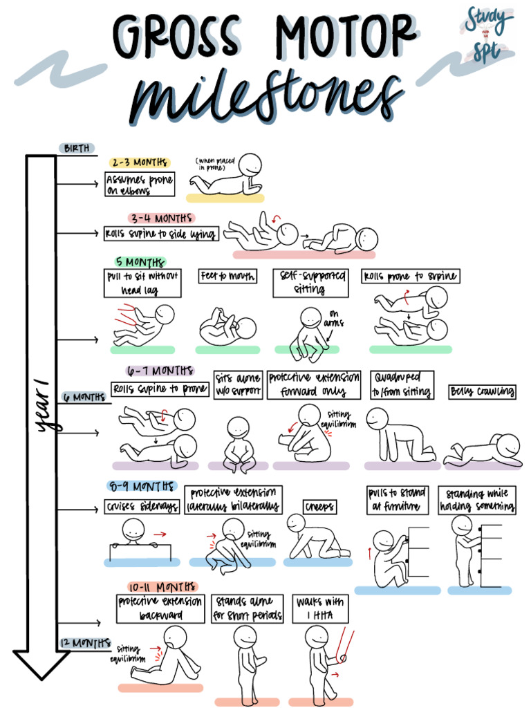 Gross Motor Milestones Study With An SPT 1 | PDF | Animal Locomotion ...