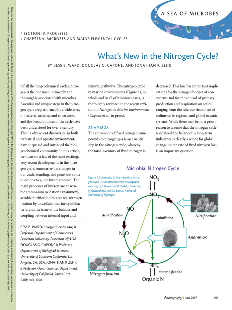 WARD Et Al 2011 Whats New in The Nitrogen Cycle | PDF | Systems Ecology ...