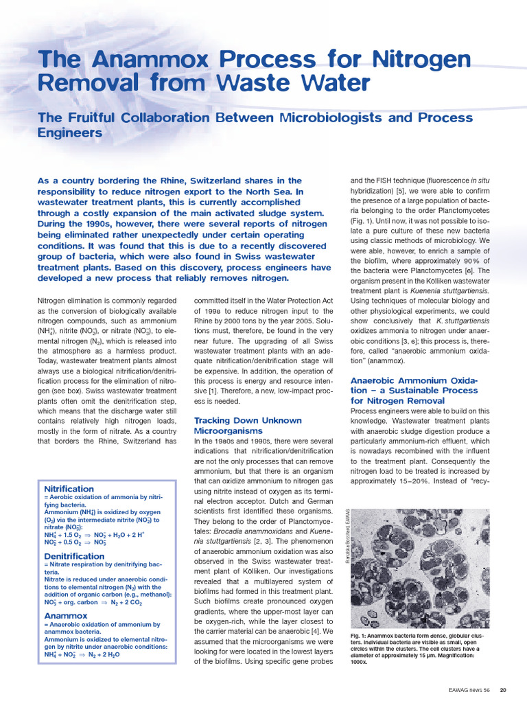 FUX Et Al 2003 The Anammox Process For Nitrogen Removal From Wastewater-ENGLISH | PDF | Sewage ...