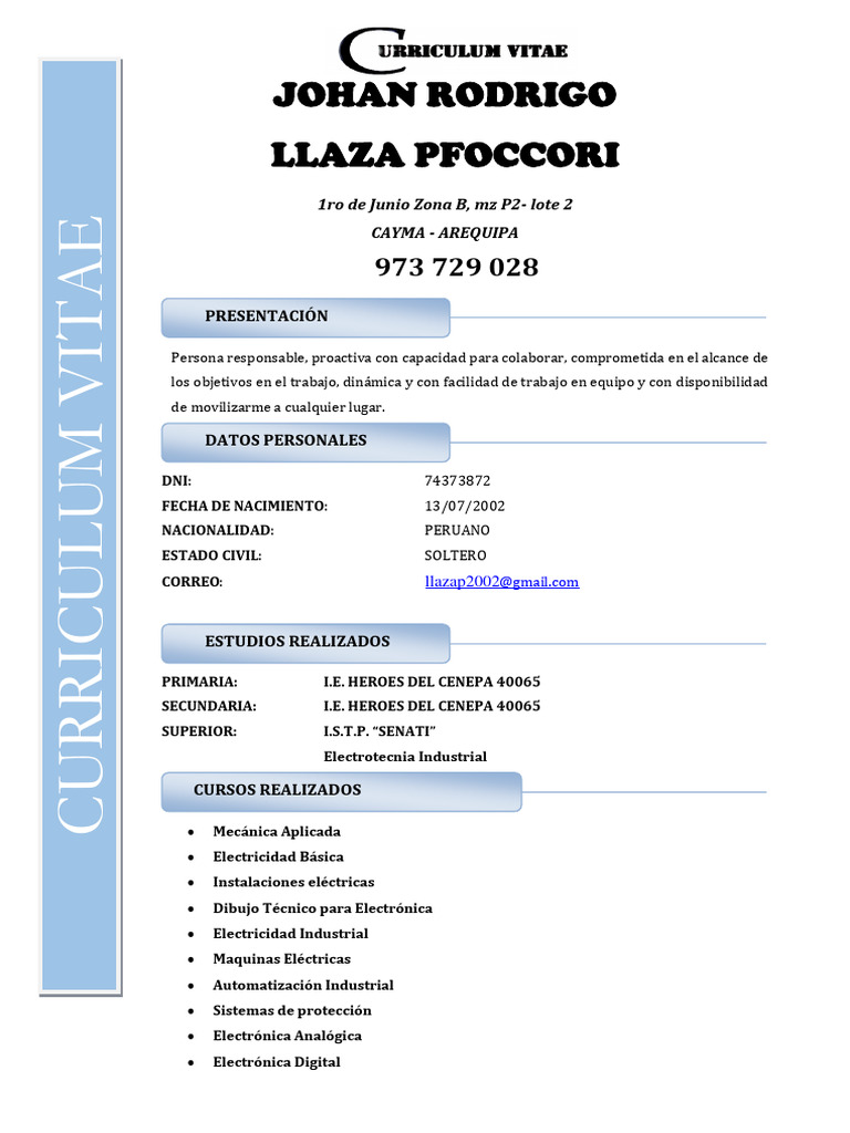 CV Johan | PDF | Electrónica | Ingenieria Eléctrica