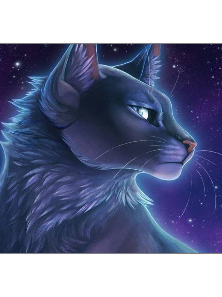 Zelí | PDF