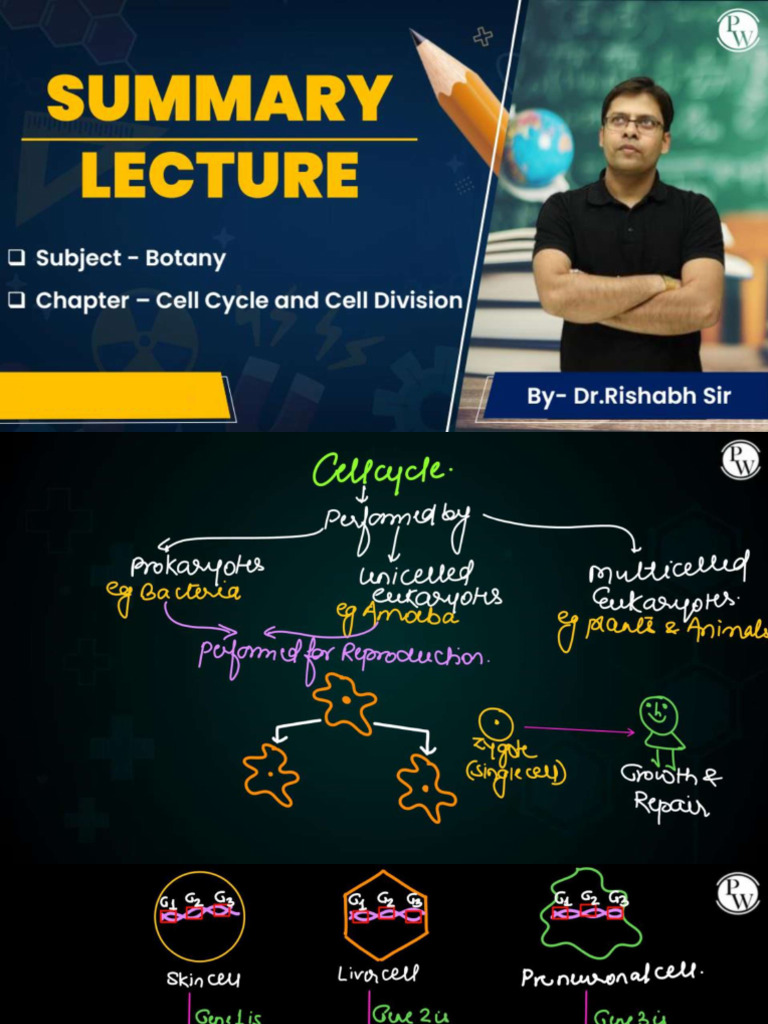 Cell Cycle and Cell Division Summary Class Notes | PDF
