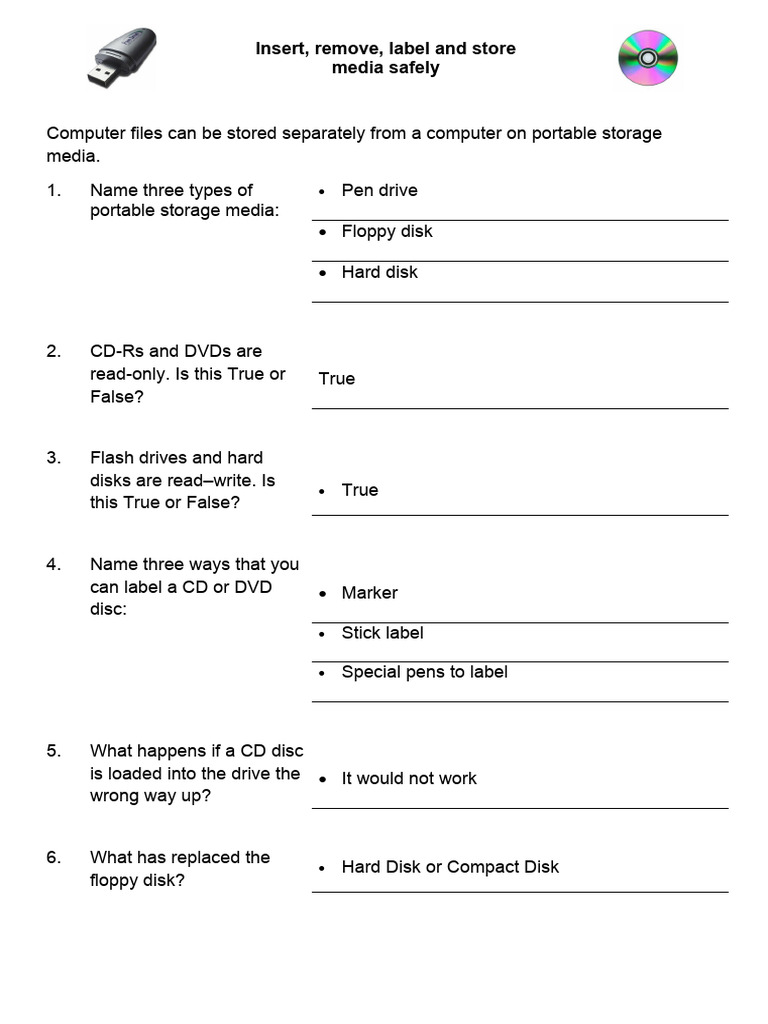 Portable Storage | PDF | Floppy Disk | Usb Flash Drive