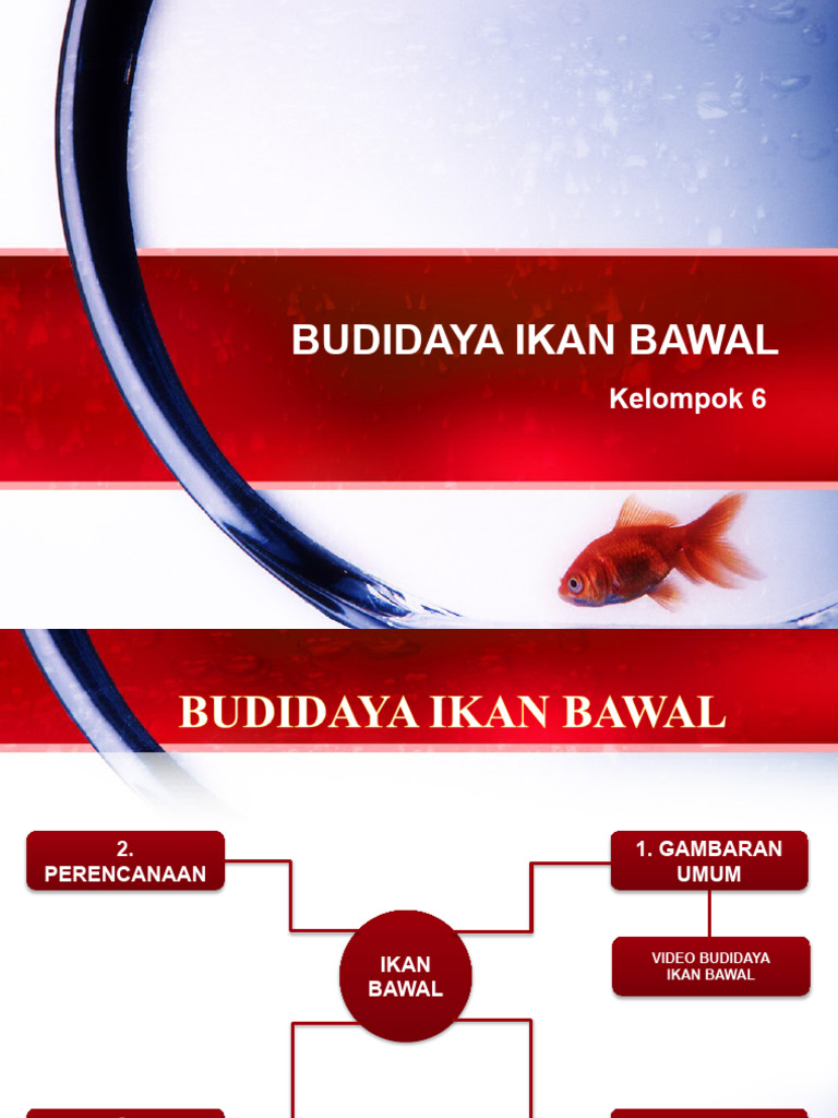 Budidaya Ikan Bawal | PDF