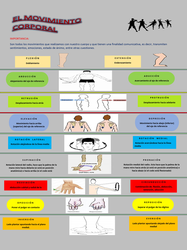 Movimientos Corporales | PDF | Mano | Codo