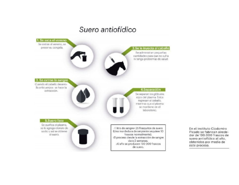 Como Se Produce El Suero Antiofidico | PDF