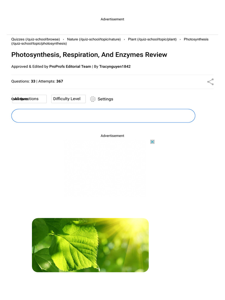 Photosynthesis & Respiration Quiz | PDF | Cellular Respiration ...