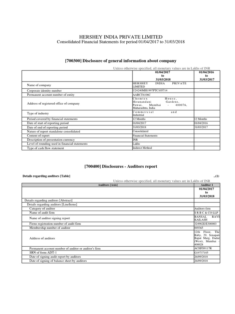 Balance Sheet - Consolidated | PDF | Financial Audit | Internal Control