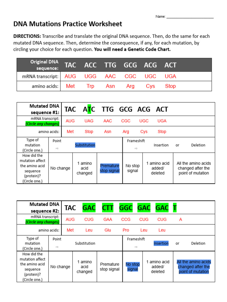 Student Work | Download Free PDF | Point Mutation | Genetic Code