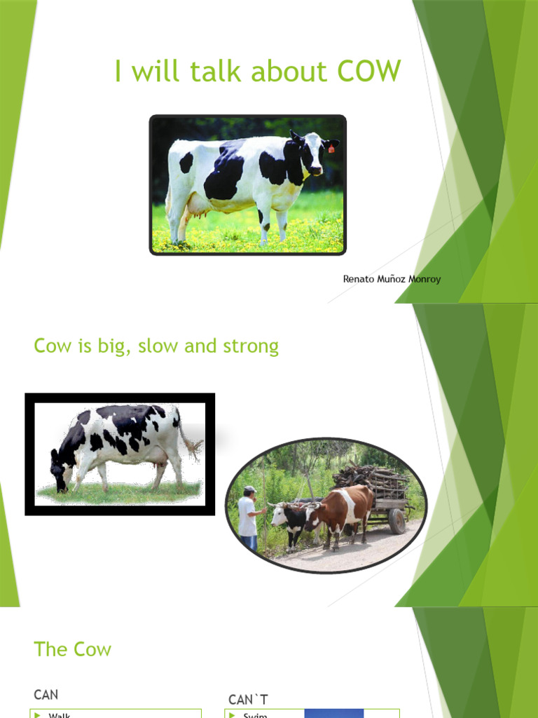 Characteristics of Cows Explained | PDF