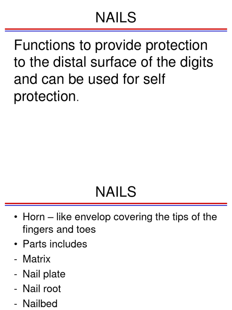 NCM 101 04 Nails | PDF