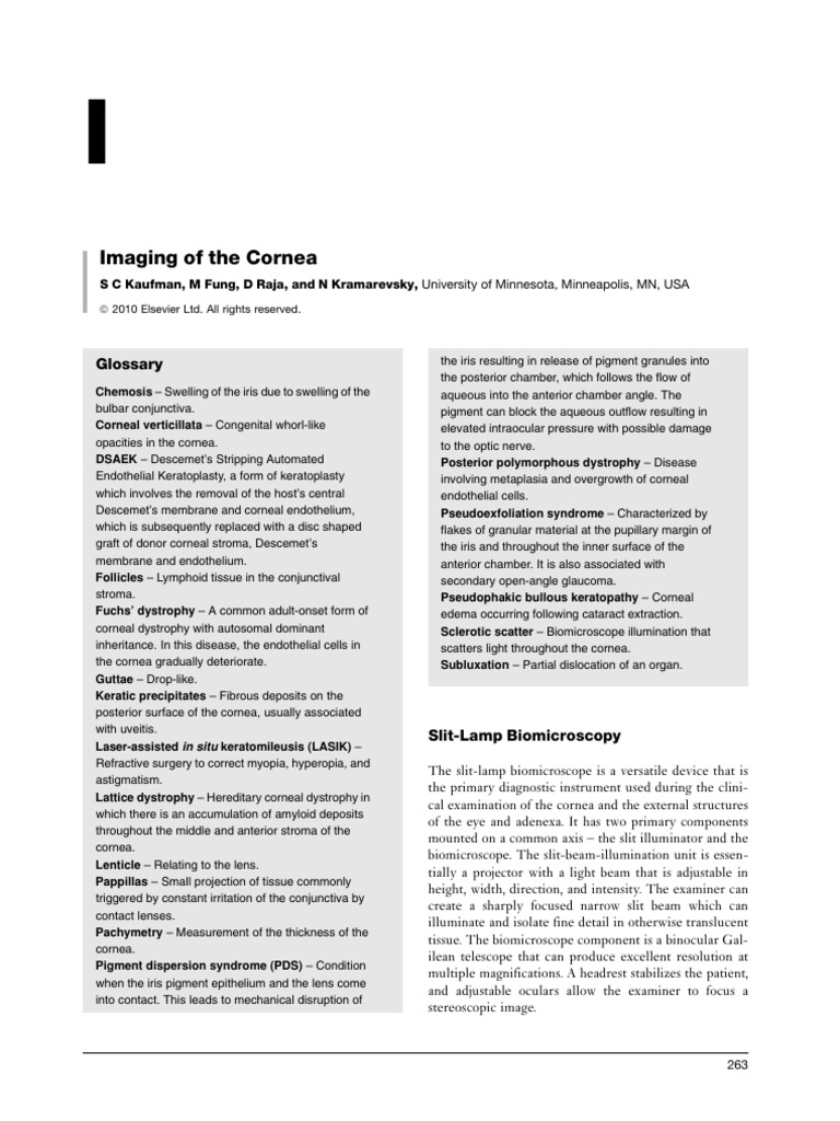 Imaging of the Cornea | PDF | Cornea | Confocal Microscopy