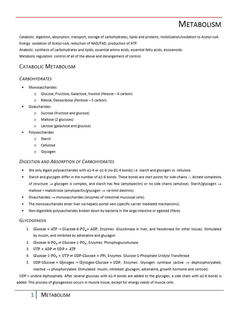 Metabolism | PDF | Glycolysis | Diet & Nutrition