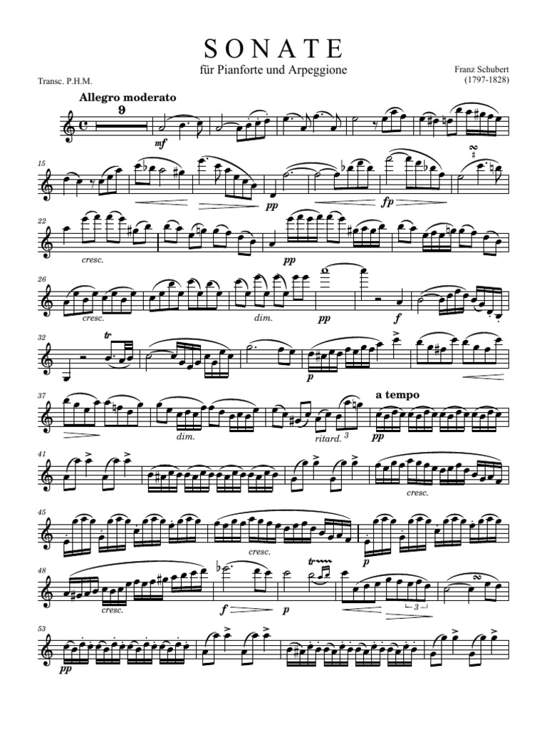 Schubert - Arpeggione Sonata D.821 | PDF | Franz Schubert | Music