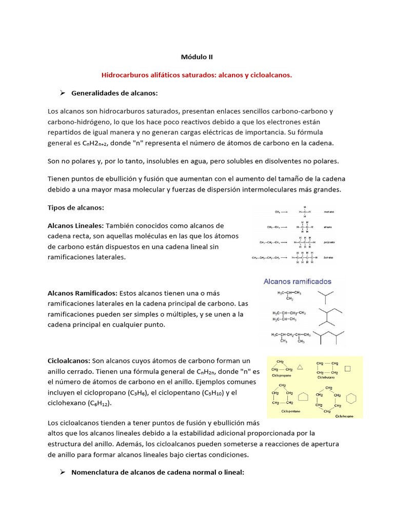 Alcanos y Cicloalcanos: Guía Básica | PDF | Isómero | Alcano