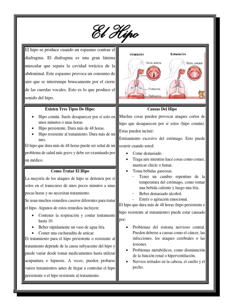 Los Alimentos-HIPOS | PDF | Medicina CLINICA