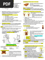 Biting and Chewing Insect Mouthparts | PDF | Insects | Arthropods