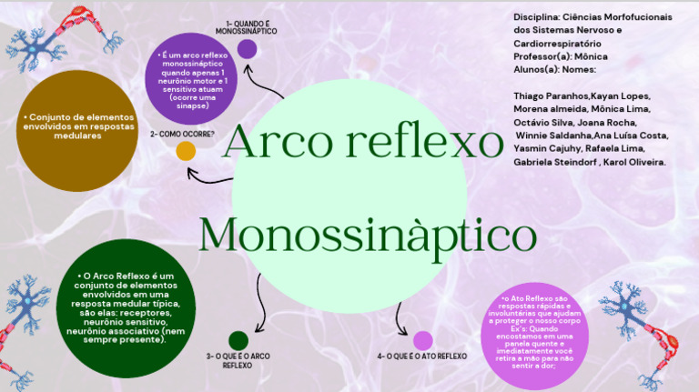 Introdução ao Arco Reflexo | PDF | Neurônio | Neurociência