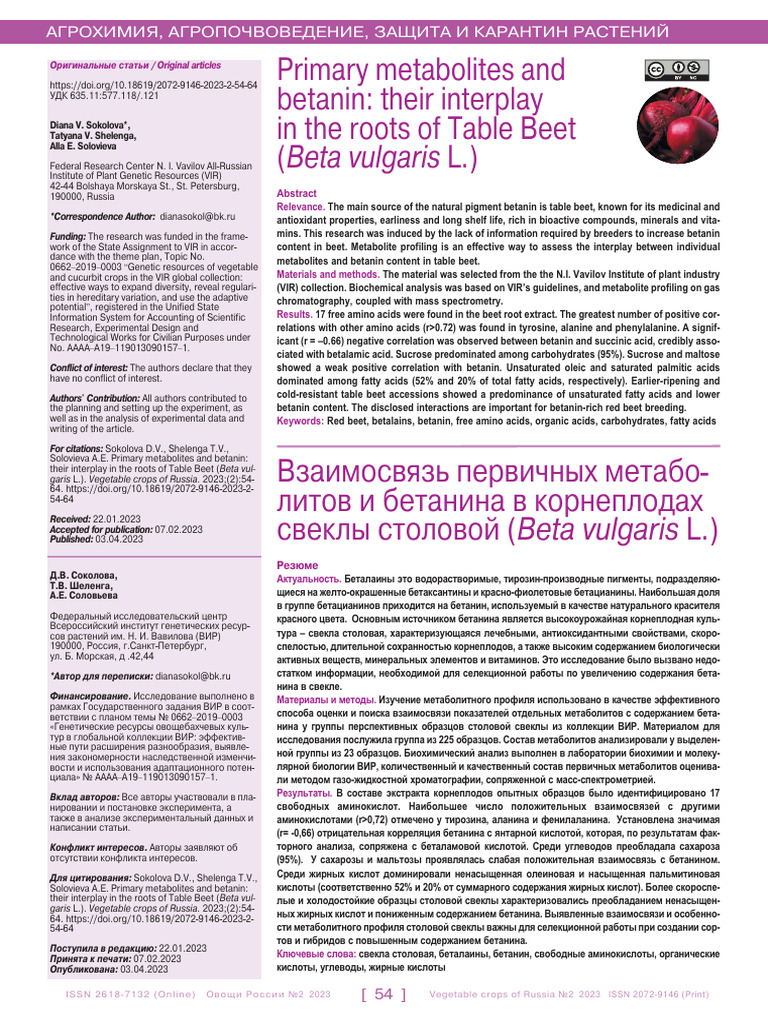 Table Beet | PDF