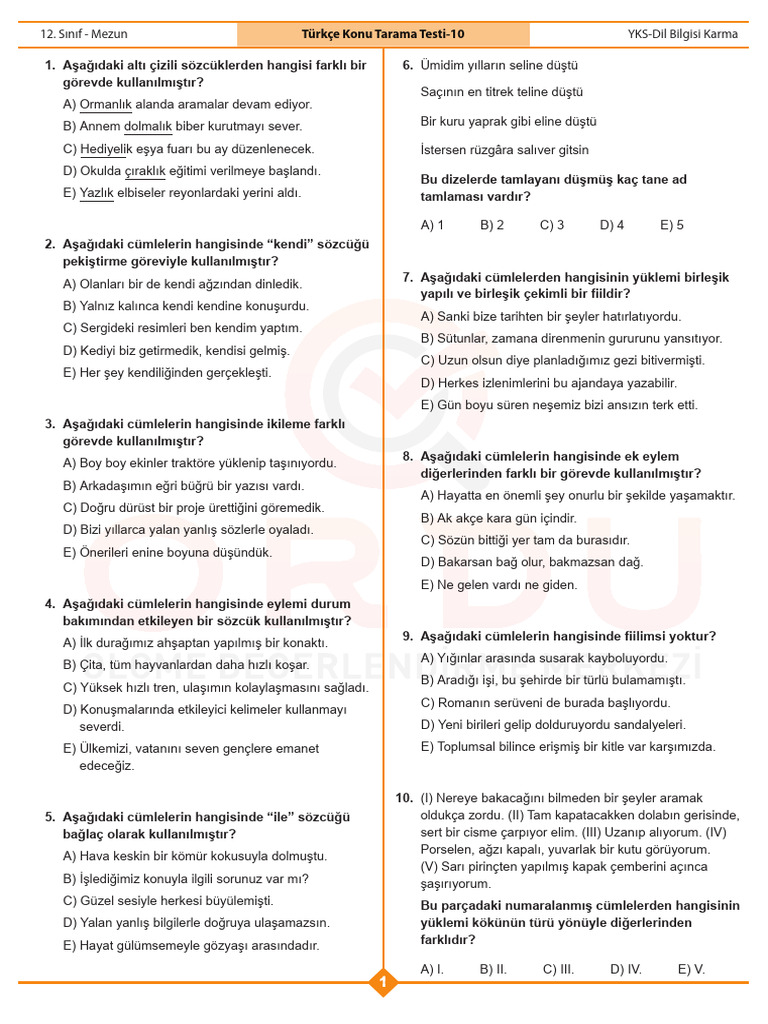 Dil Bil - Karma Test | PDF