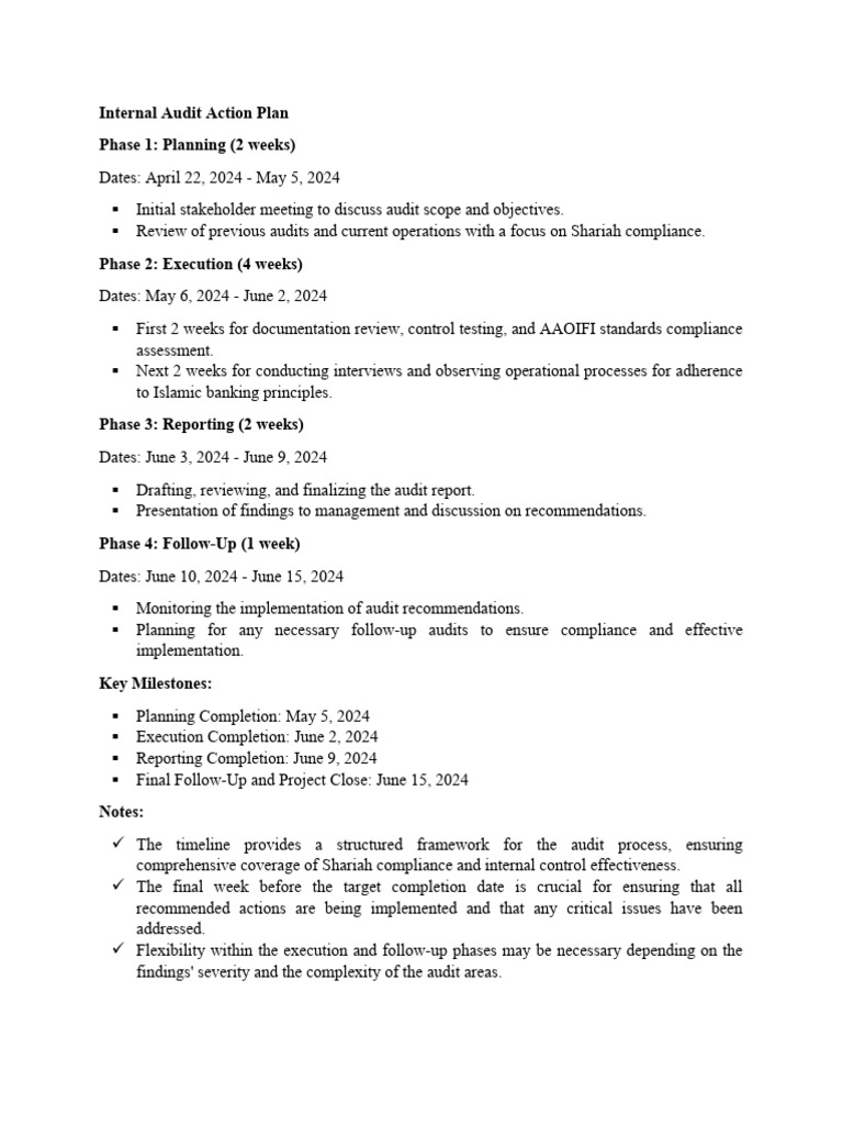 Internal Audit Action Plan | PDF