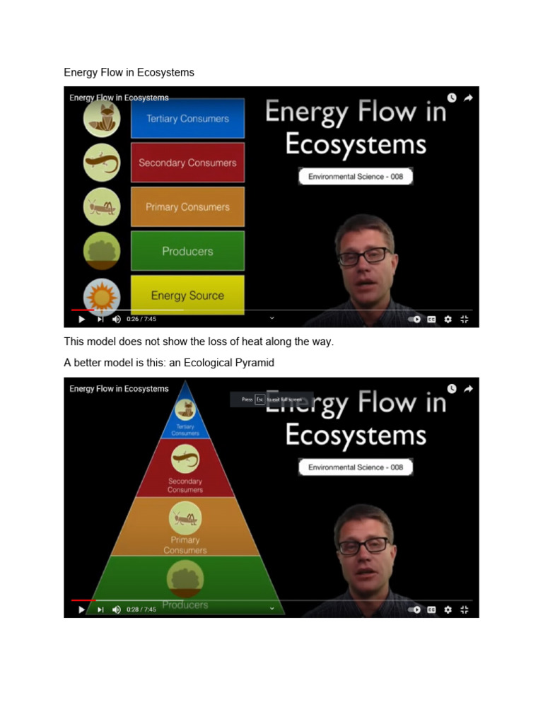 Energy Flow in Ecosystems | PDF | Primary Production | Environmental ...