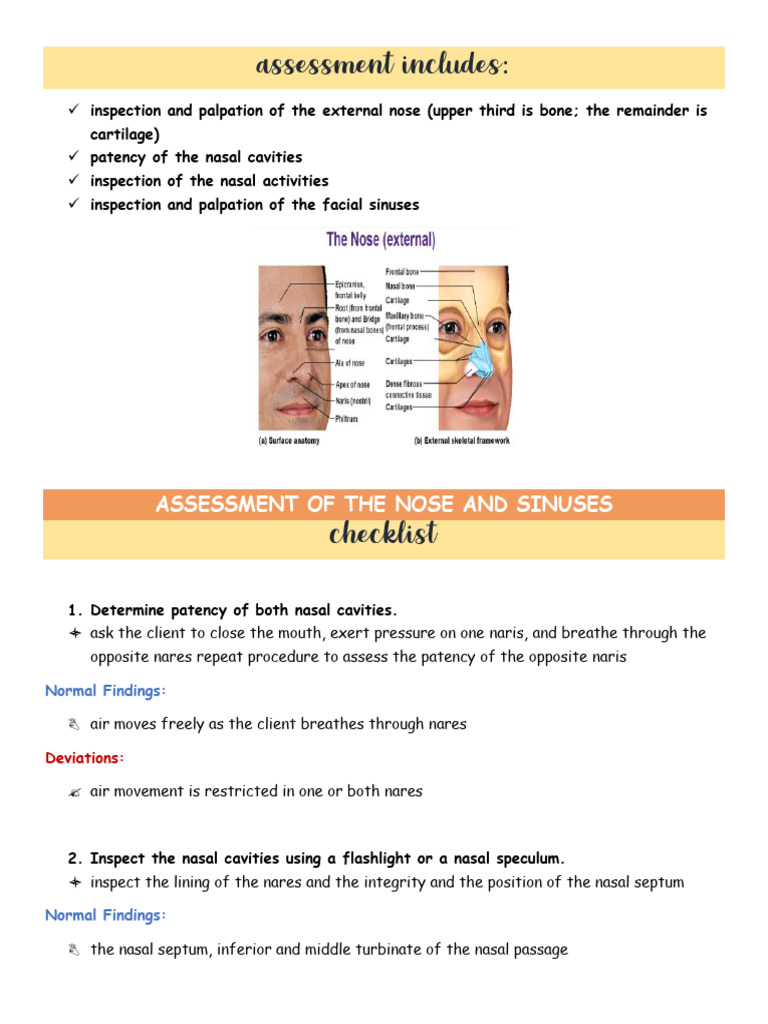 HA - Nose Checklist | PDF