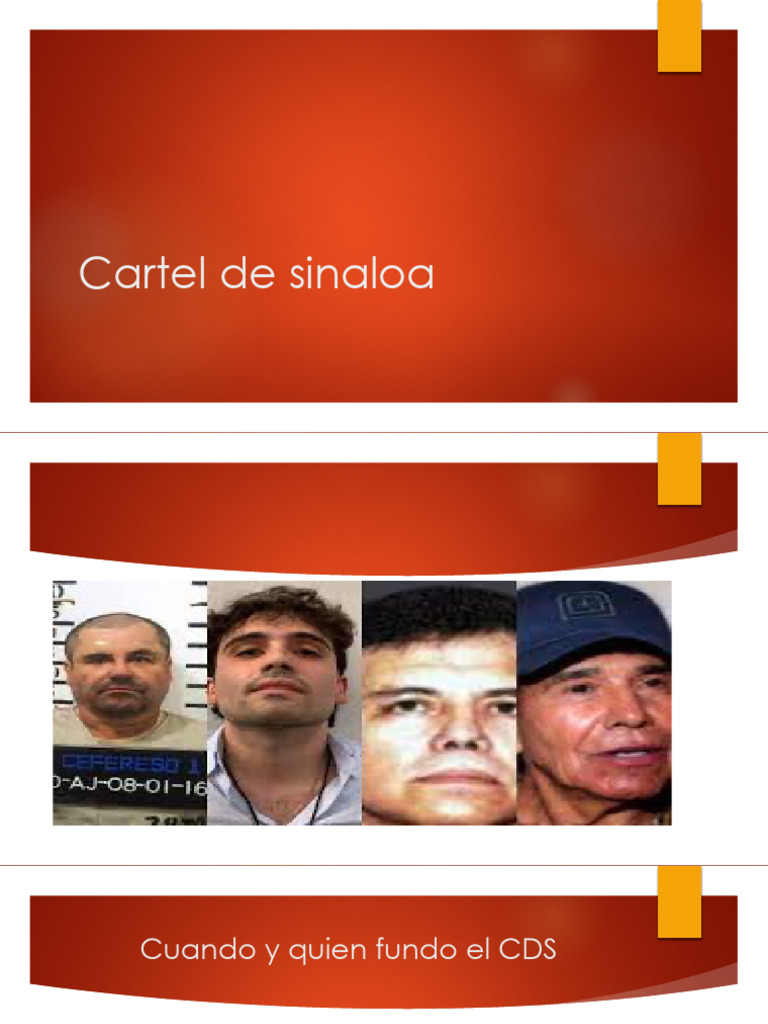 Presentación1 criminologia | PDF | Cartel de Sinaloa | Crímenes