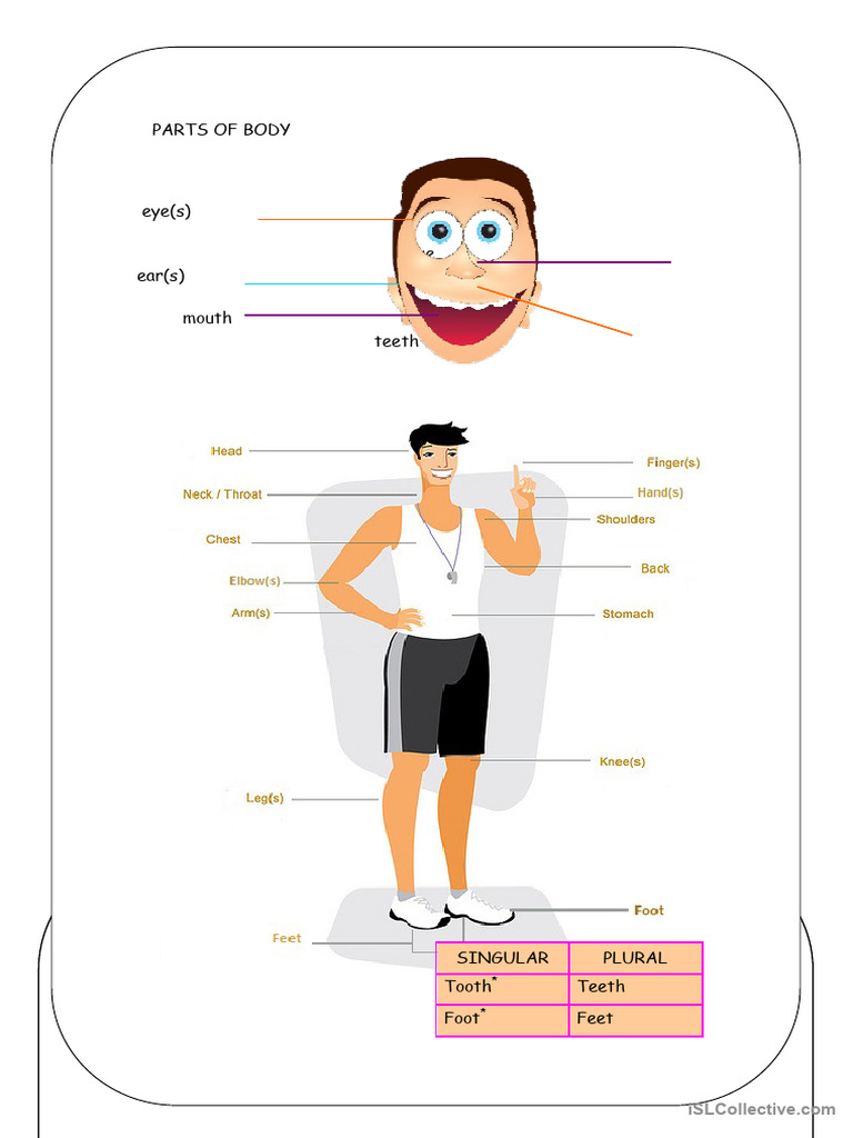 Body Parts and Illnesses | PDF