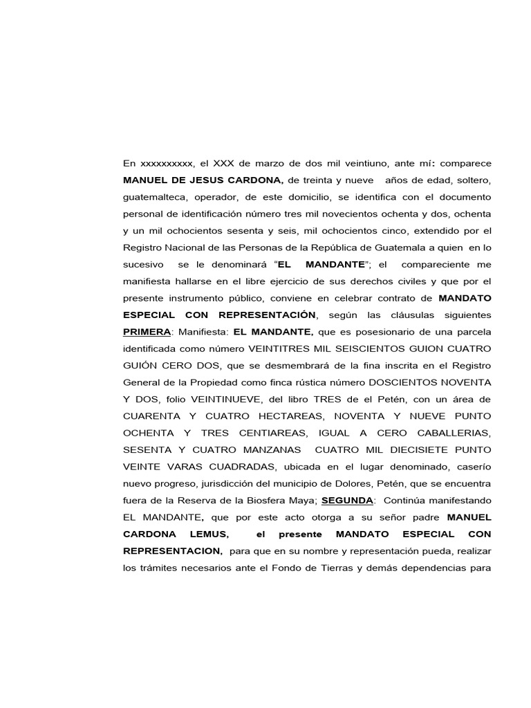 Mandato Especial Con Representacion | PDF | Gobierno